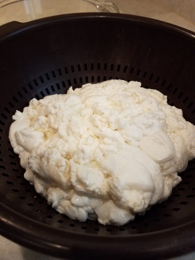 7 Steps to Spectacular Mozzarella In Less Than an Hour - Original Food Dude